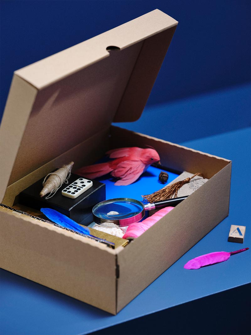 Kapaklı Kutu Modelleri ve Fiyatları | IKEA