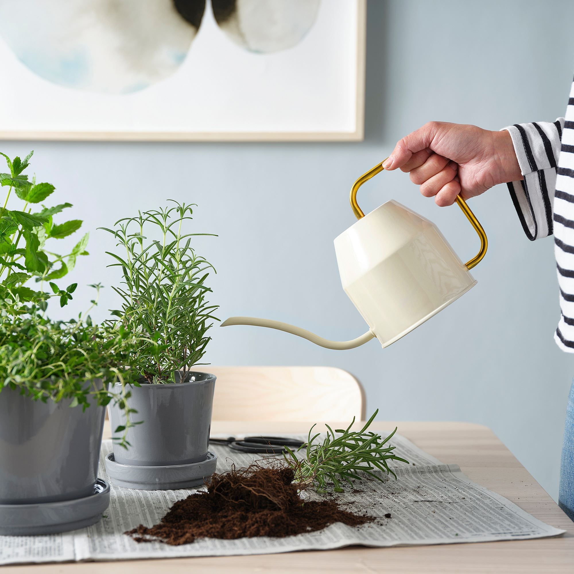VATTENKRASSE ivory/gold-colour 0.9 l watering can - 40394118 | IKEA