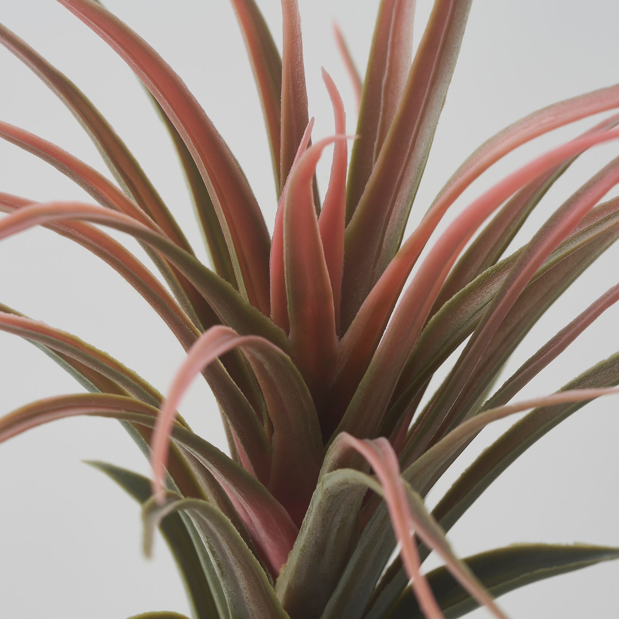 FEJKA multicolour artificial plant - 80559961 | IKEA