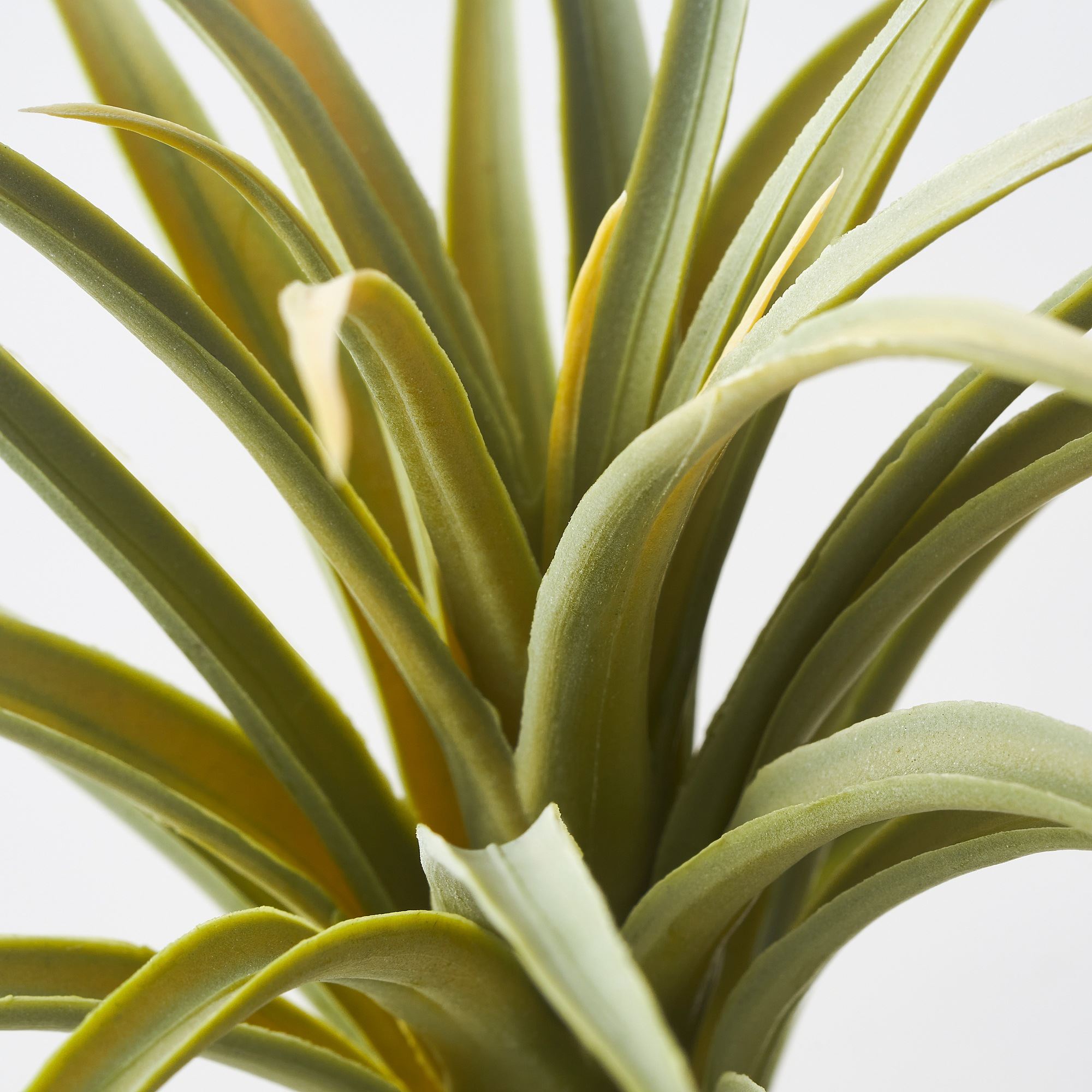 FEJKA multicolour artificial plant - 80559961 | IKEA