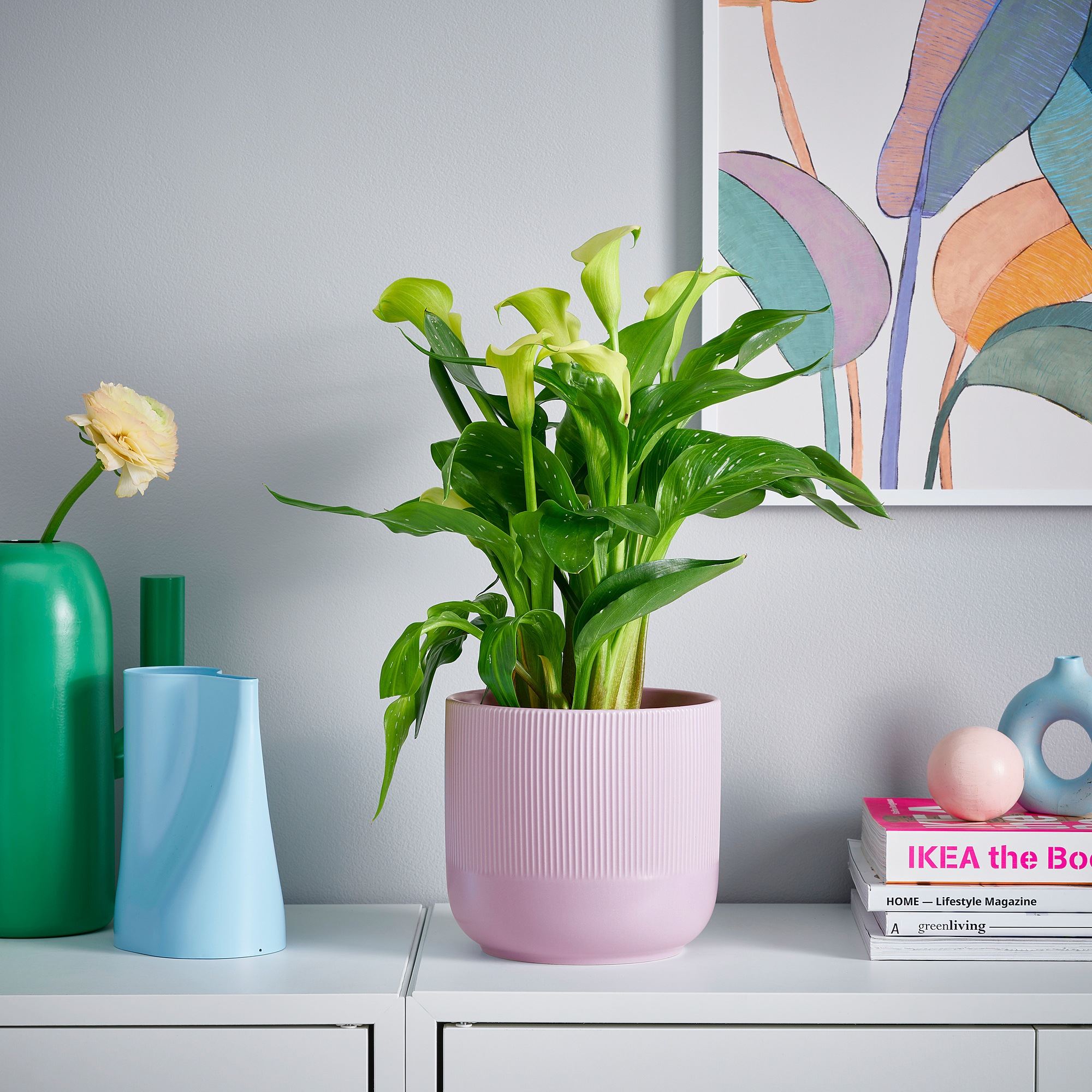 GRADVIS lila 15 cm seramik saksı - 20569331 | IKEA