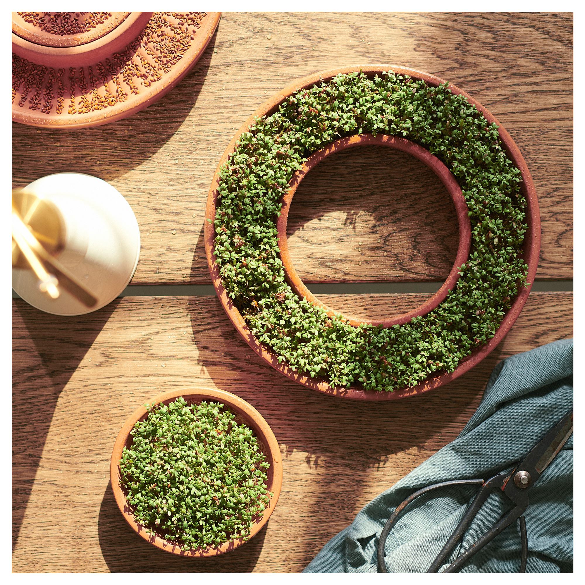 DAKSJUS terracotta sprouting dish - 10567304 | IKEA